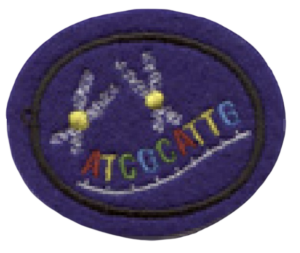 Explorateur – JA – Jeunesse Adventiste