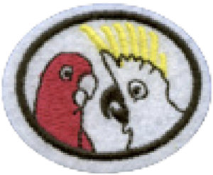 Explorateur – JA – Jeunesse Adventiste