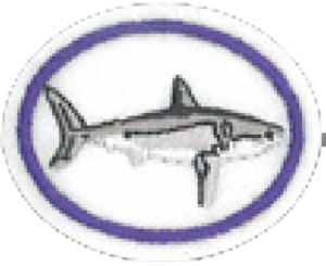 Explorateur – JA – Jeunesse Adventiste