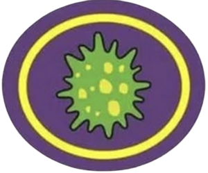 Explorateur – JA – Jeunesse Adventiste